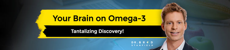 Your Brain on Omega-3, Tantalizing Discovery! – Dr Brad Stanfield